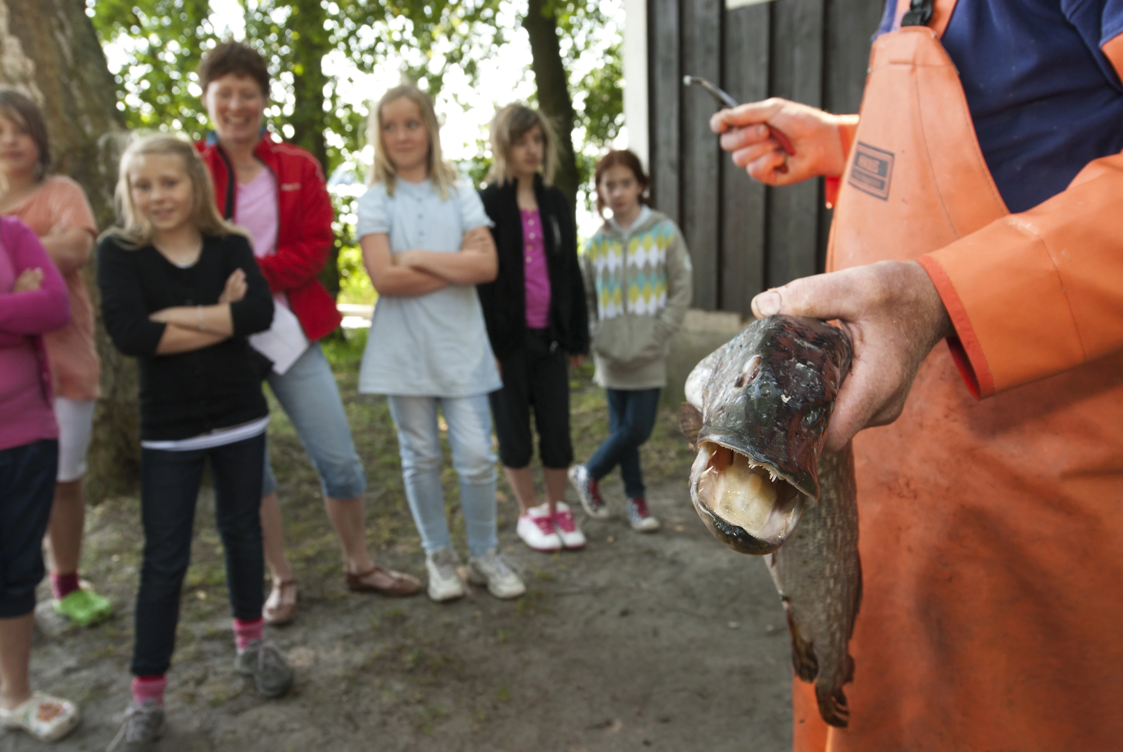 Gladan - Stiftelsen Skånska Landskap