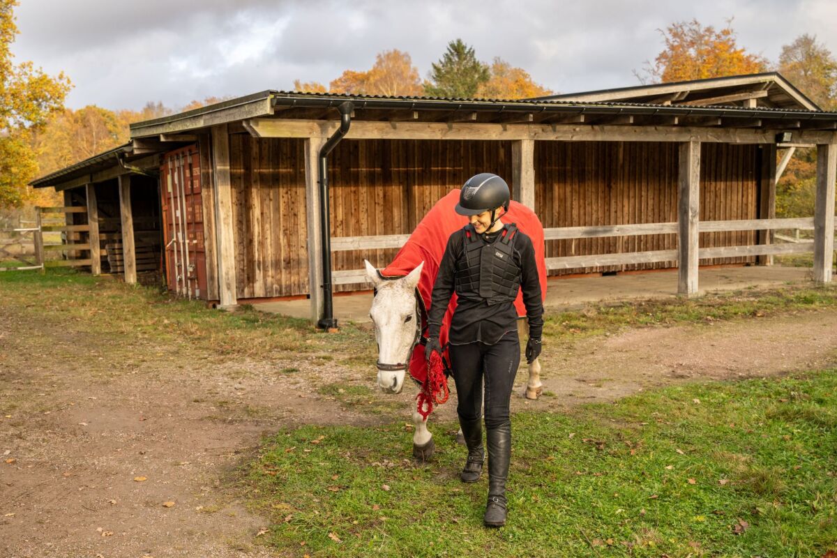 Nyheter - Ridled med service för ryttare - Stiftelsen Skånska Landskap