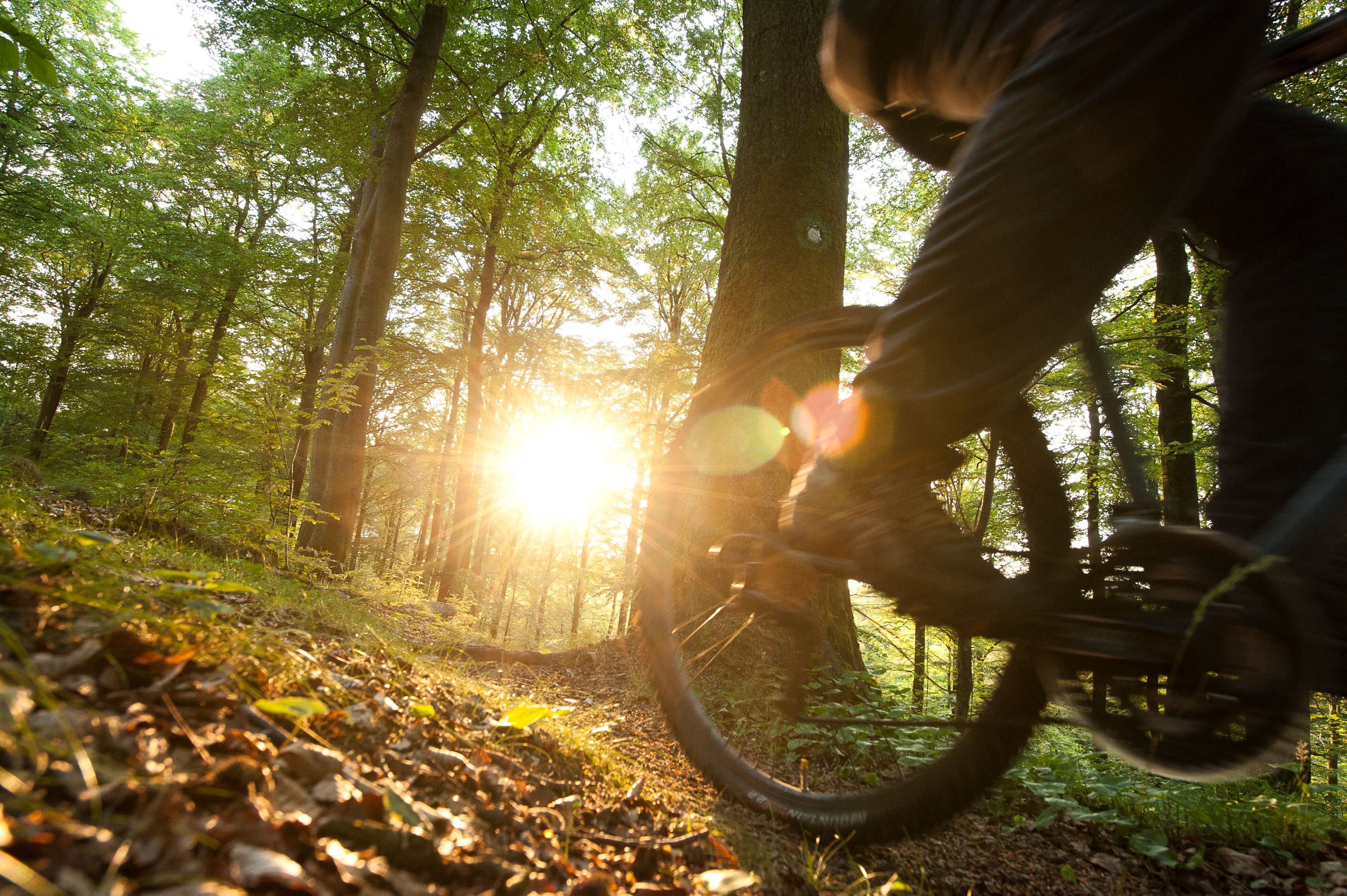 Mountainbike och stigcykling - Stiftelsen Skånska Landskap